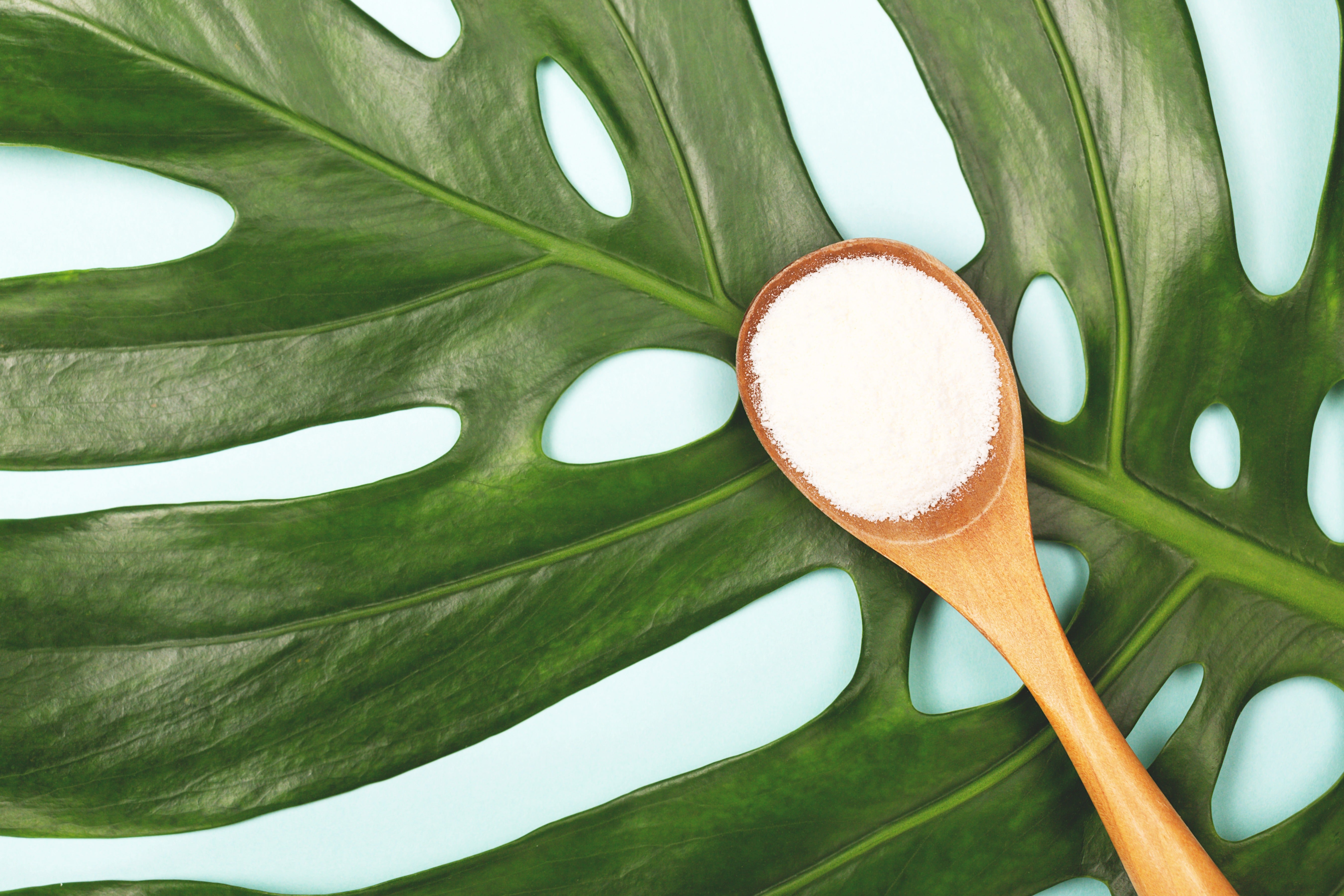 Genuine Health - The Science Behind How Collagen Works